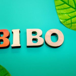 Bio là gì? Tìm hiểu khái niệm và cách viết bio hiệu quả